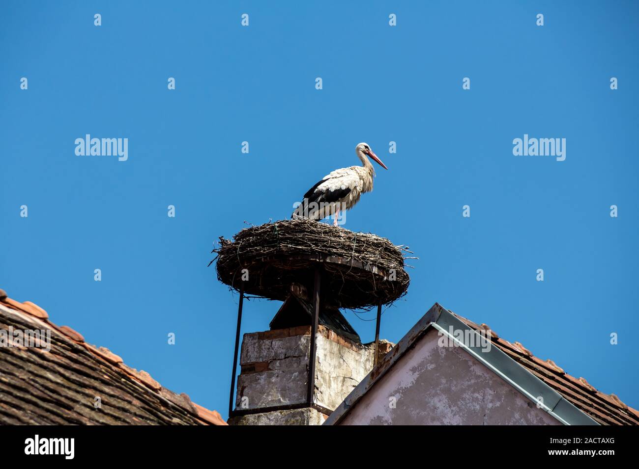 Stork house hi-res stock photography and images - Alamy