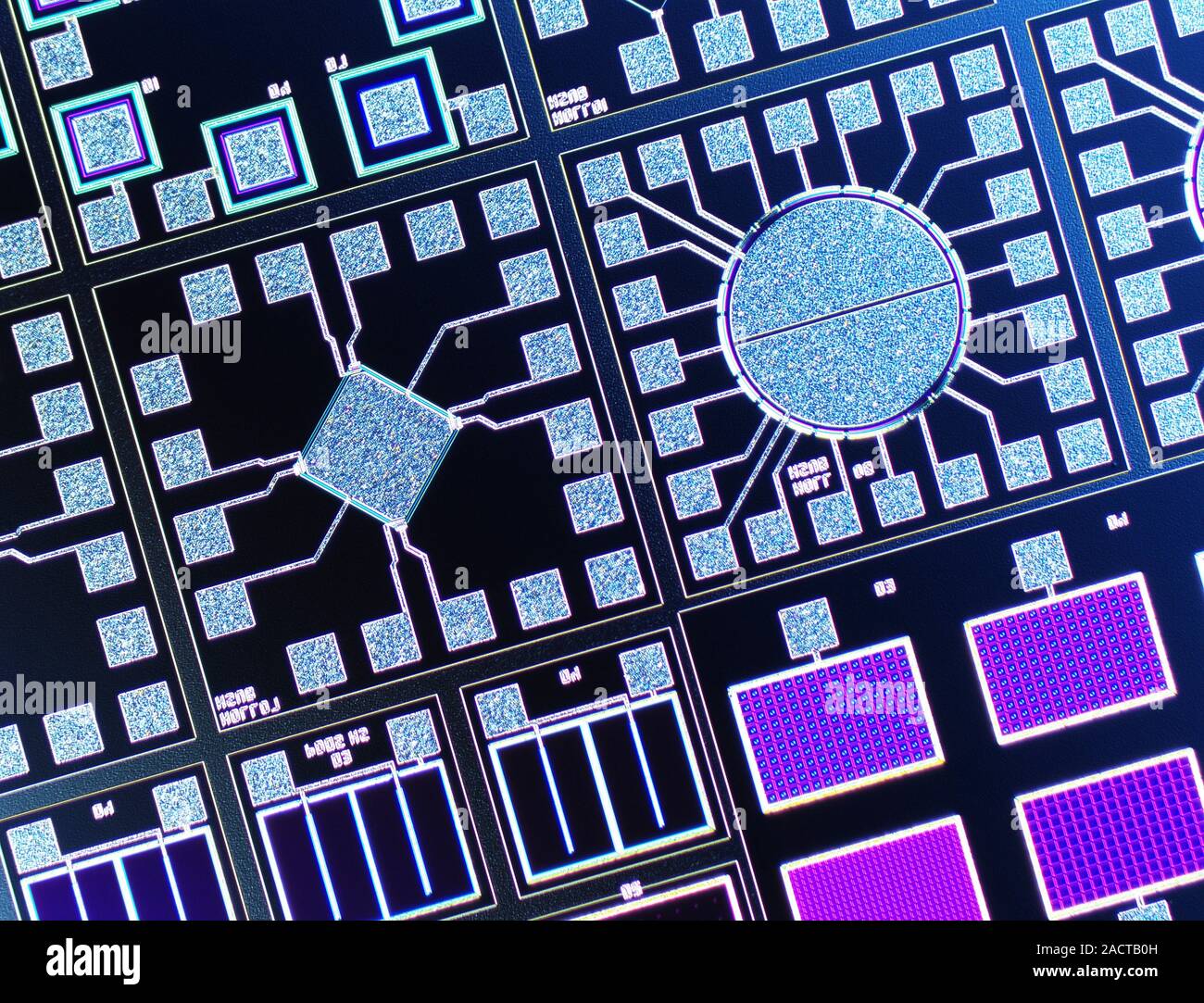 Light micrograph taken with episcopic lighting and Normarski ...