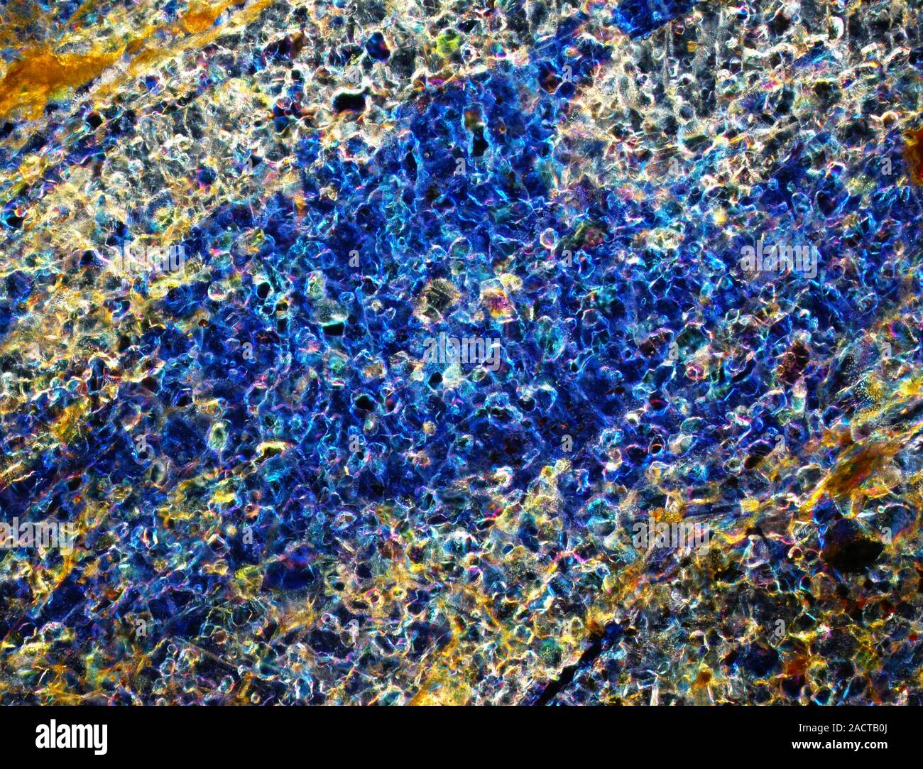 Polarised light micrograph of a thin section microscopic slide of the ...