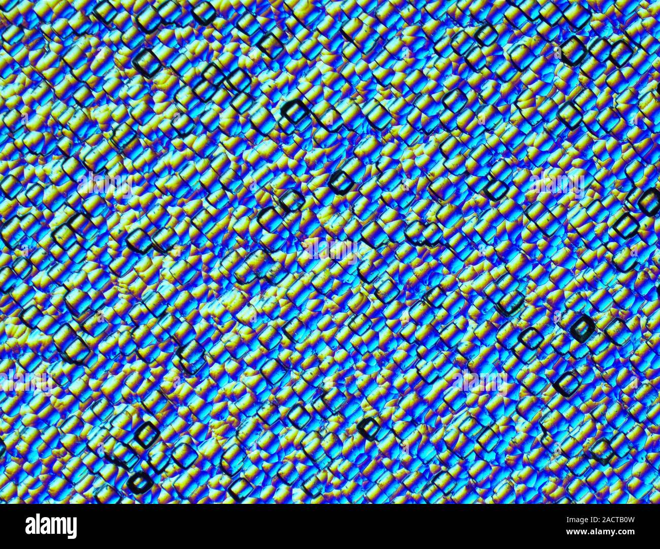 Solar cell. Light micrograph taken with episcopic lighting and ...