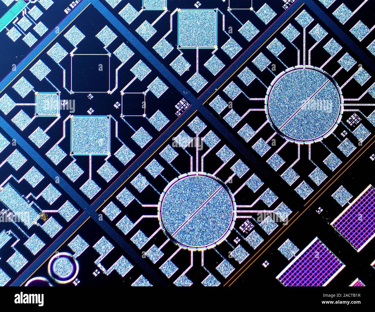 Light micrograph taken with episcopic lighting and Normarski Interference Contrast (DIC) of a ...
