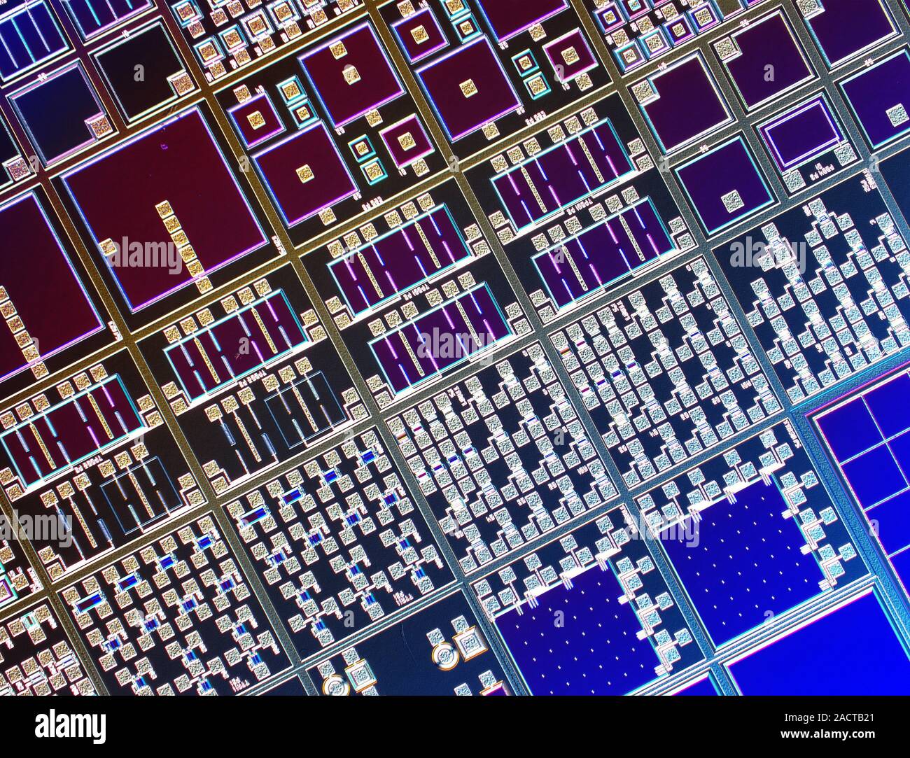 Light micrograph taken with episcopic lighting and Normarski ...