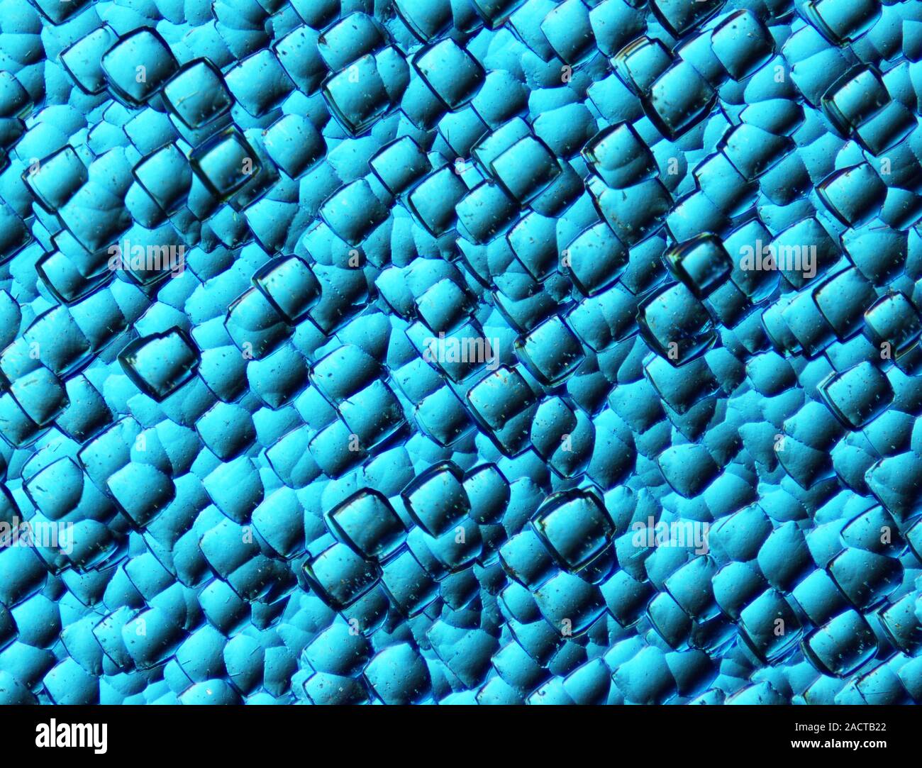 Solar cell. Light micrograph taken with episcopic lighting and ...