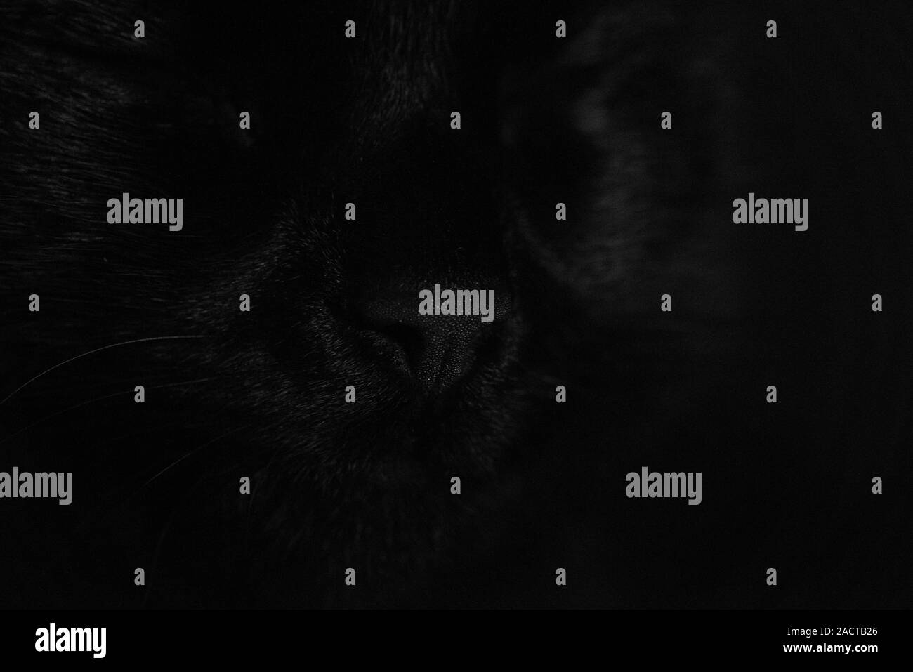 One eye watching Black and White Stock Photos & Images - Alamy