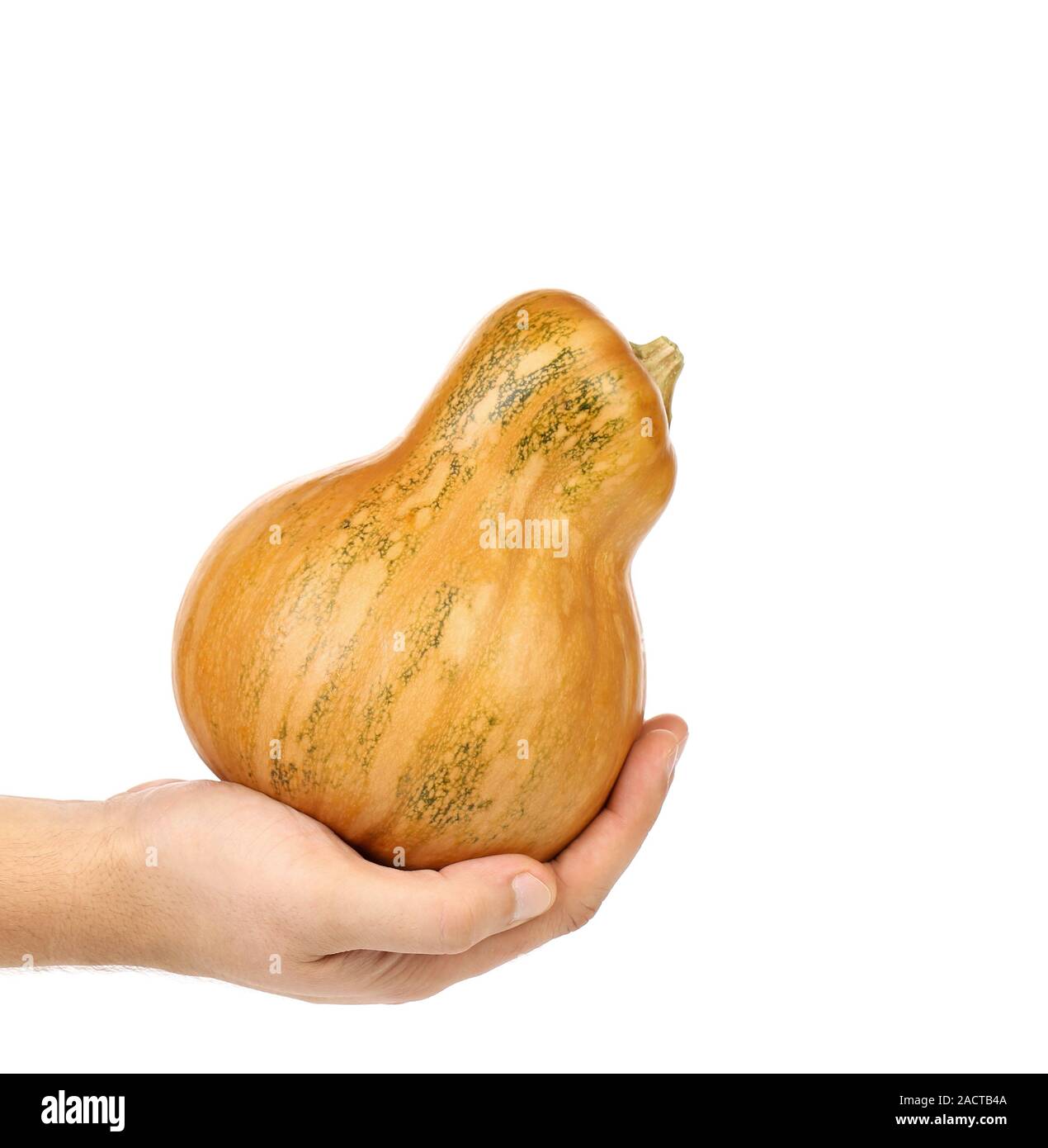 Hand holds fresh natural Cut Out Stock Images & Pictures - Alamy