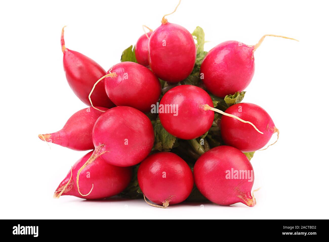 Small garden radish Stock Photo - Alamy