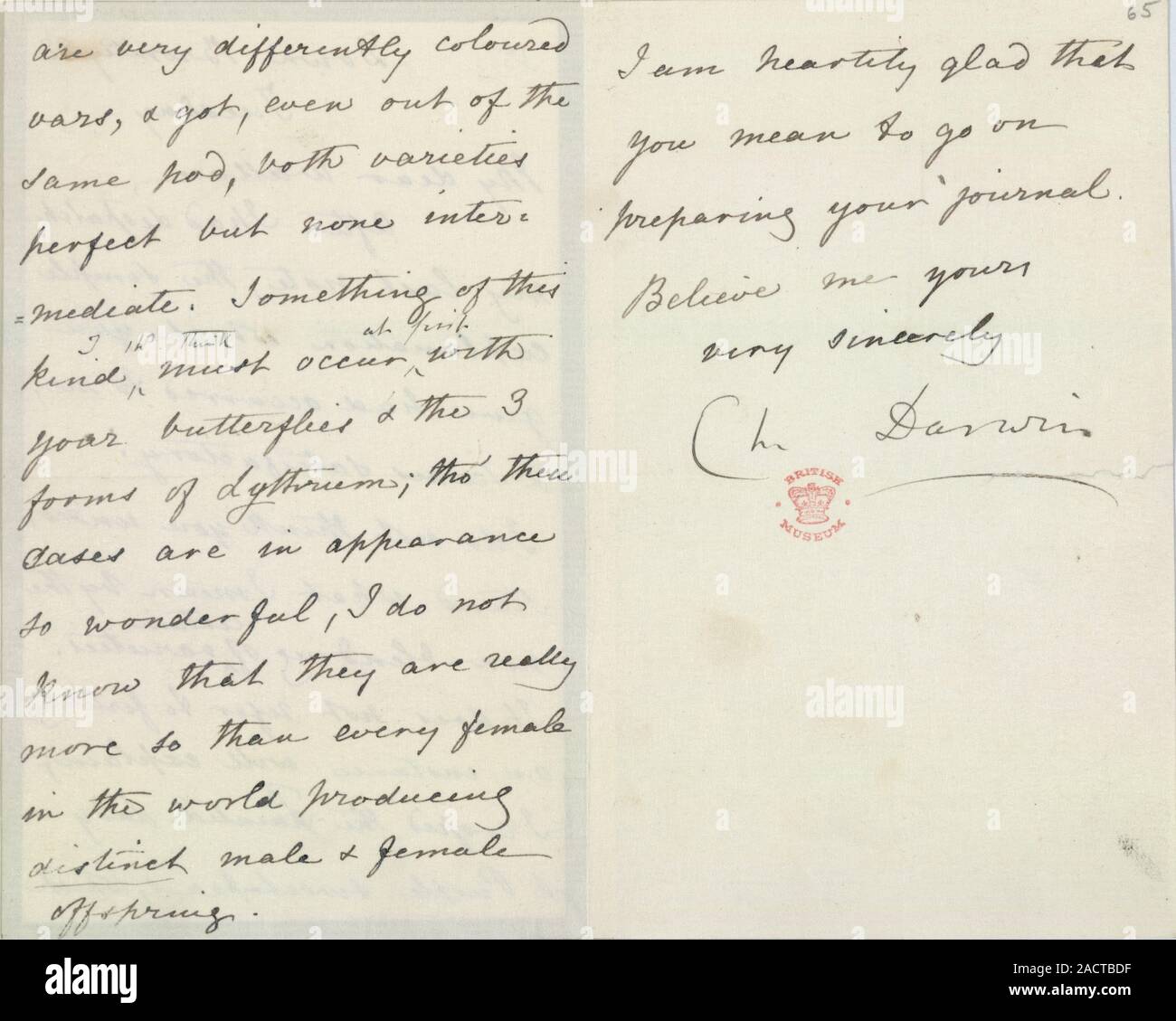 Autograph letter of Charles Darwin to Alfred Wallace, concerning ...