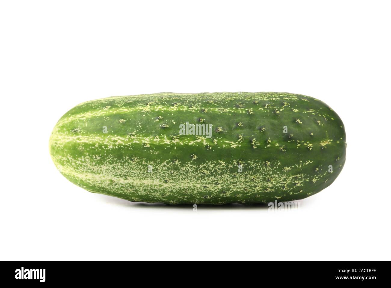Single green cucumber Stock Photo - Alamy