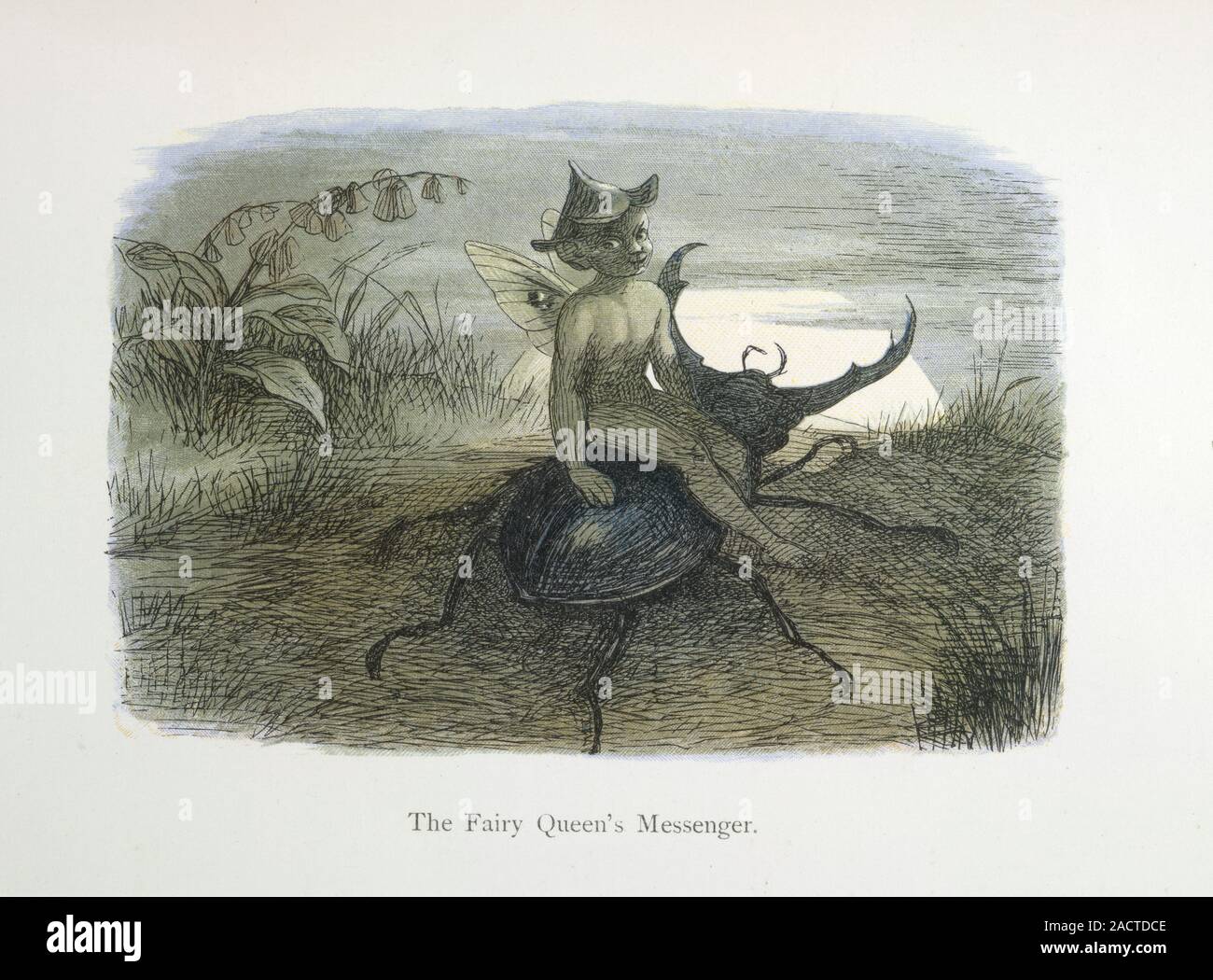 The Fairy Queen's messenger Stock Photo - Alamy