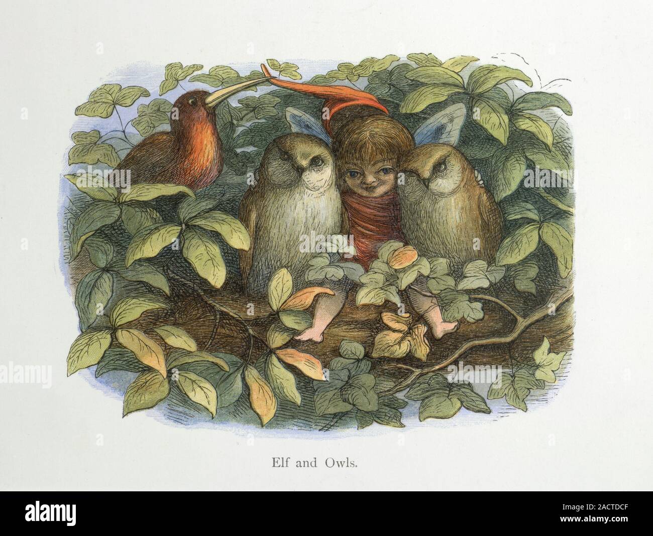 Elf and owls Stock Photo - Alamy