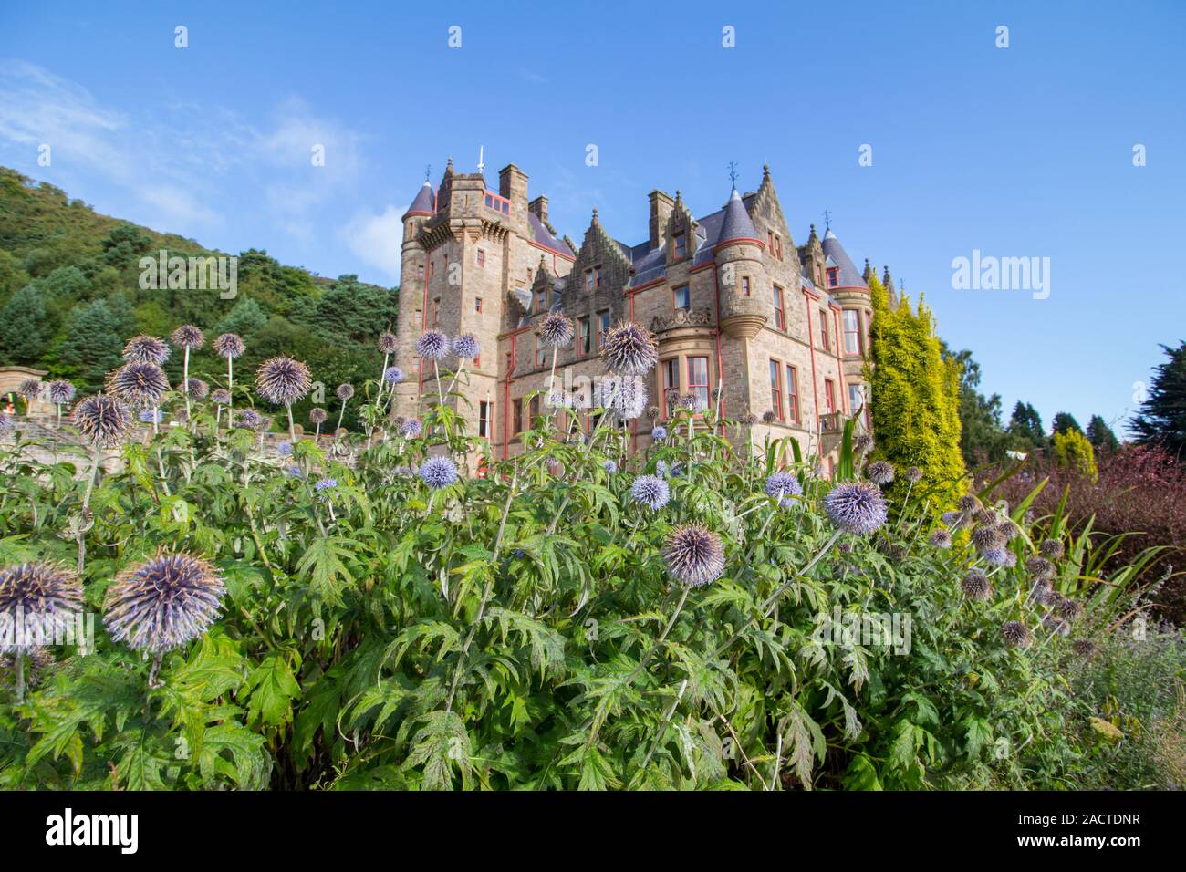 Belfast castle building hi-res stock photography and images - Alamy