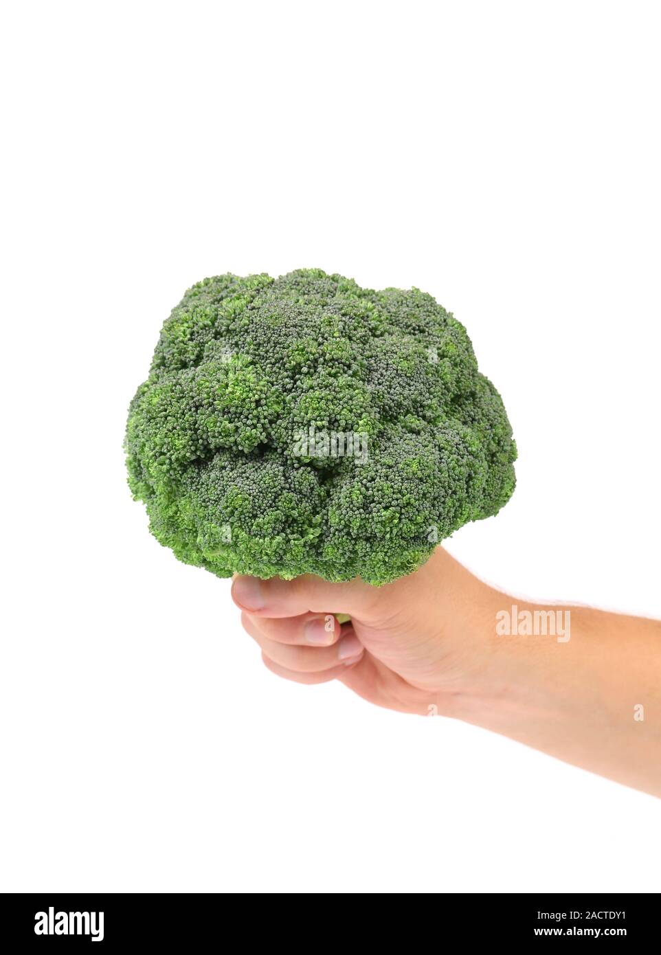 Hand with a bouquet of broccoli Stock Photo - Alamy