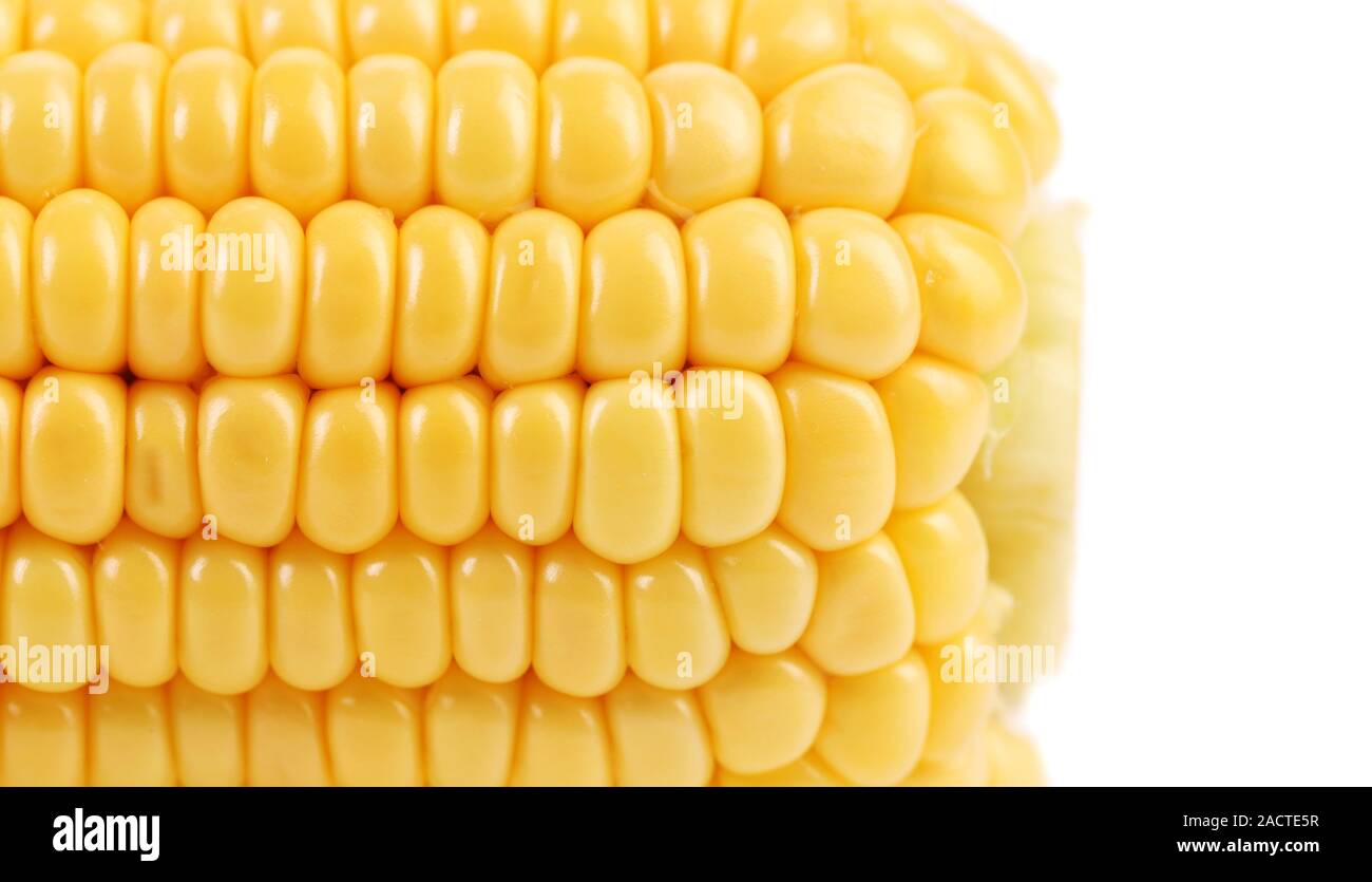 Tail of boiled corn. There is space for text Stock Photo - Alamy