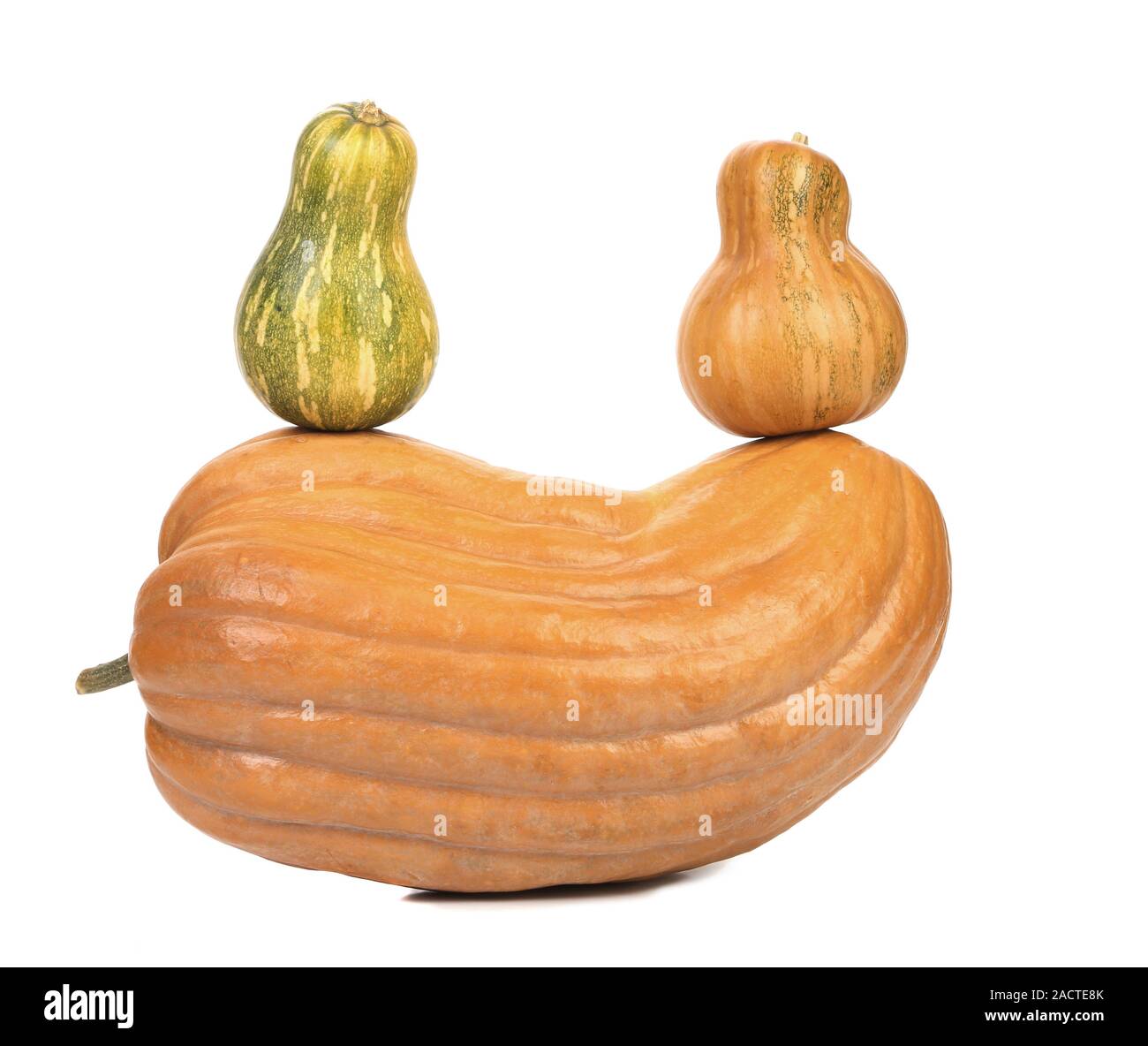 Composition of pumpkins Stock Photo - Alamy