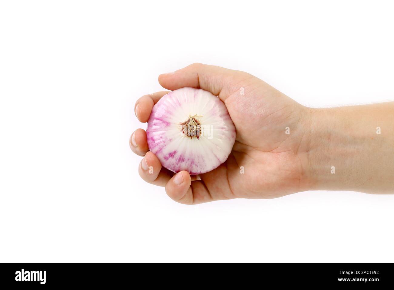 Hand holds red onion Stock Photo - Alamy
