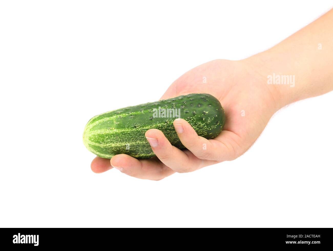 cucumber in human hand isolated Stock Photo - Alamy
