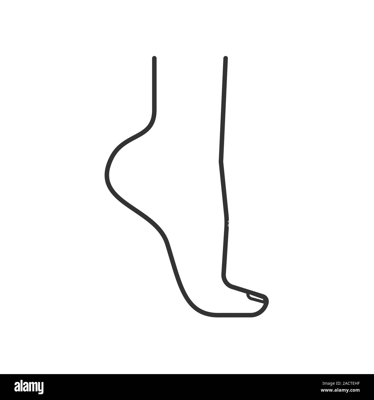 Woman's foot standing on tiptoe linear icon. Thin line illustration ...