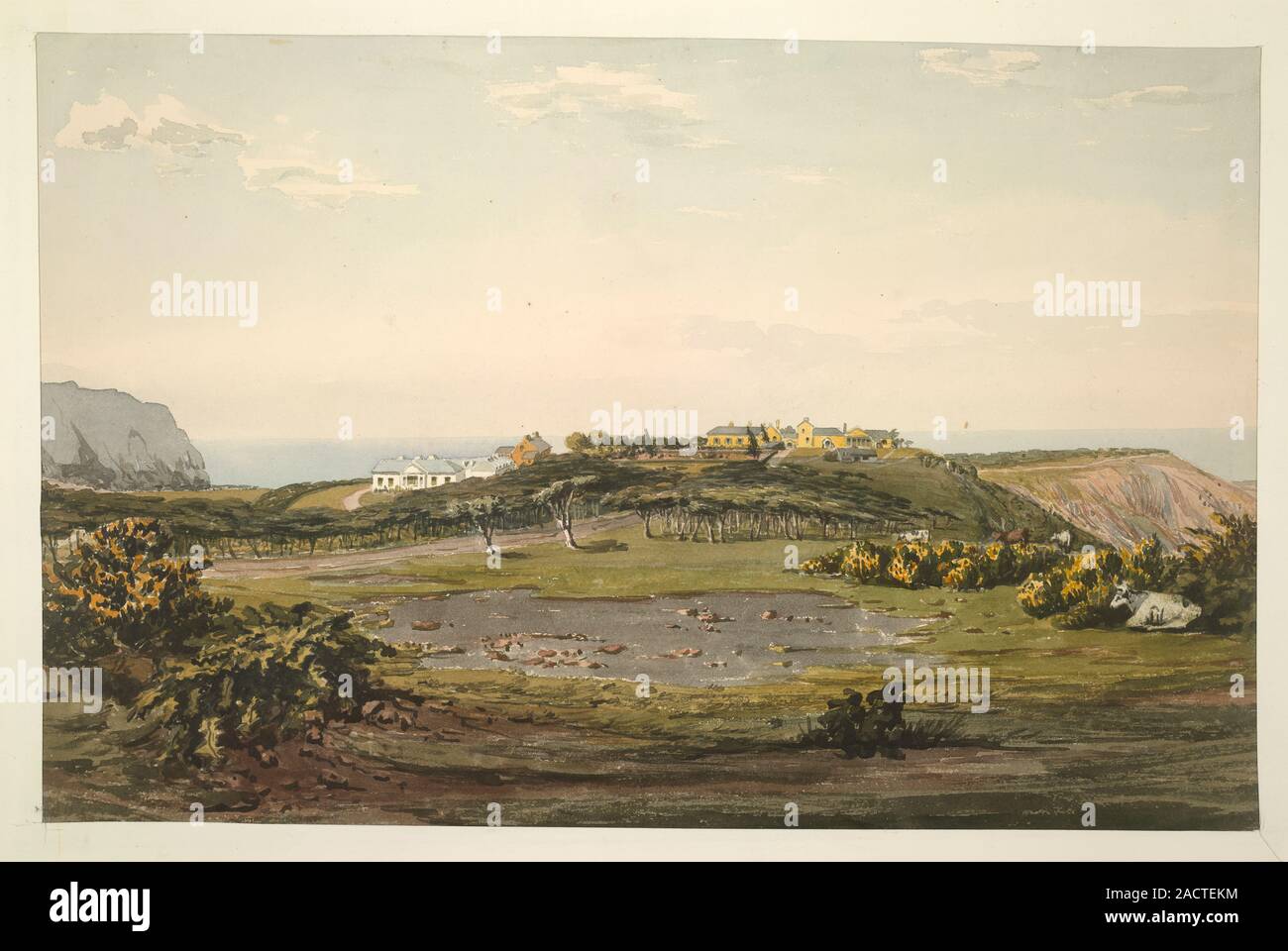 View of St Helena. Image taken from A St Helena Who's Who Extra ...