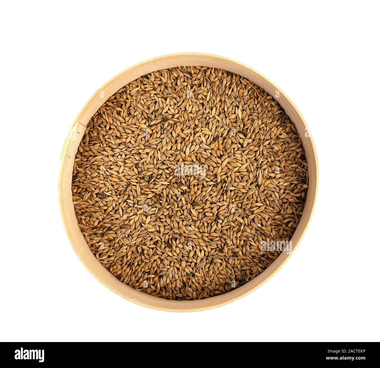 Wheat grain into sieve Stock Photo - Alamy