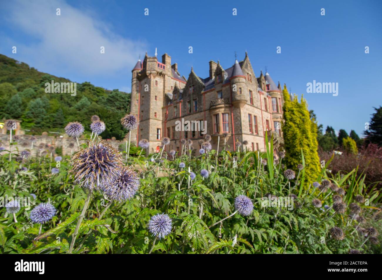 Country road ireland house hi-res stock photography and images - Alamy