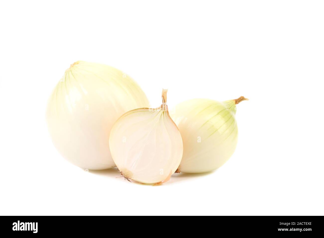 white onion isolated Stock Photo - Alamy