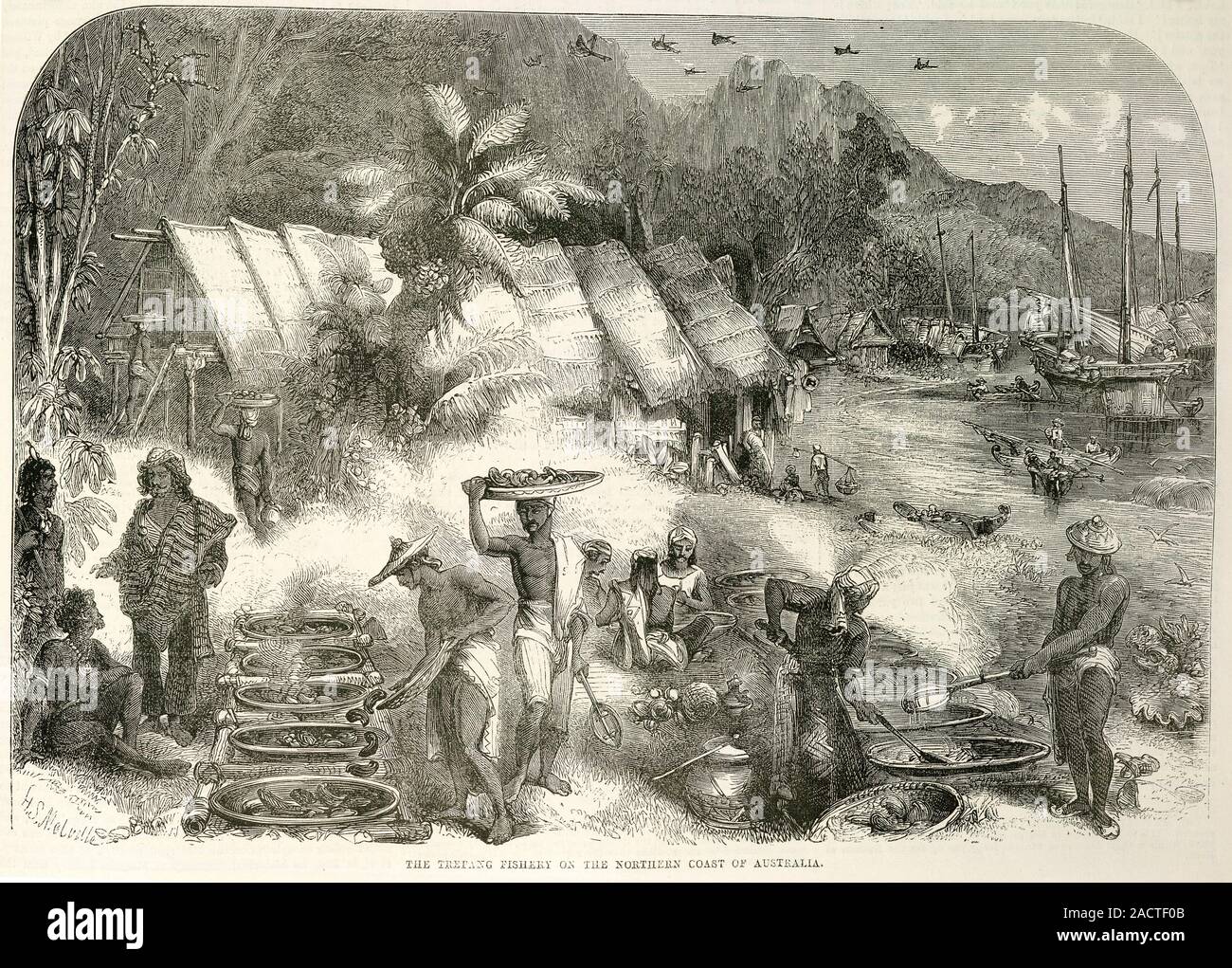 The Trepang, The Trepang (Aboriginal people) fishery on the northern ...