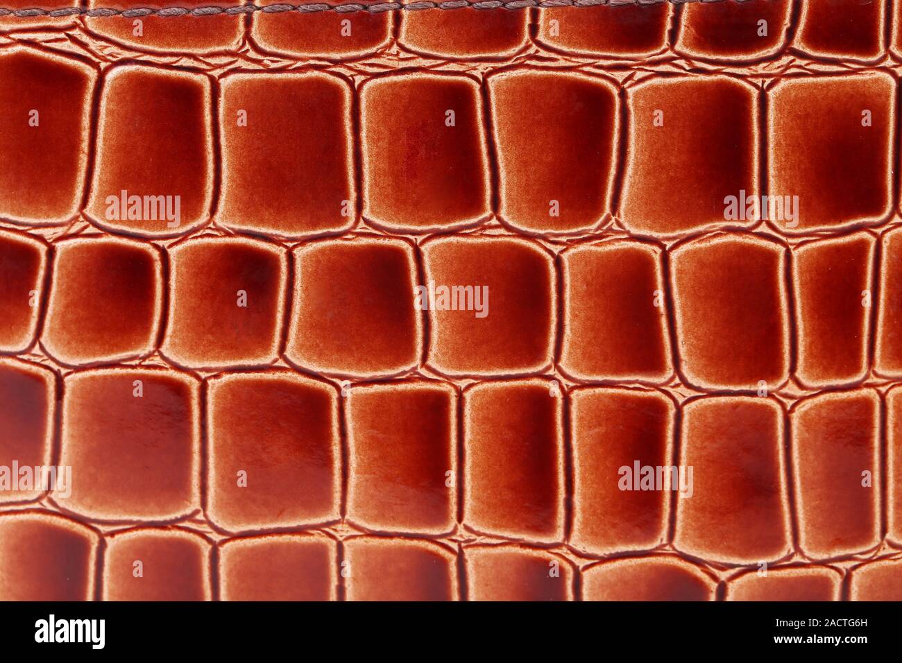 Red brown color of crocodile skin Stock Photo - Alamy
