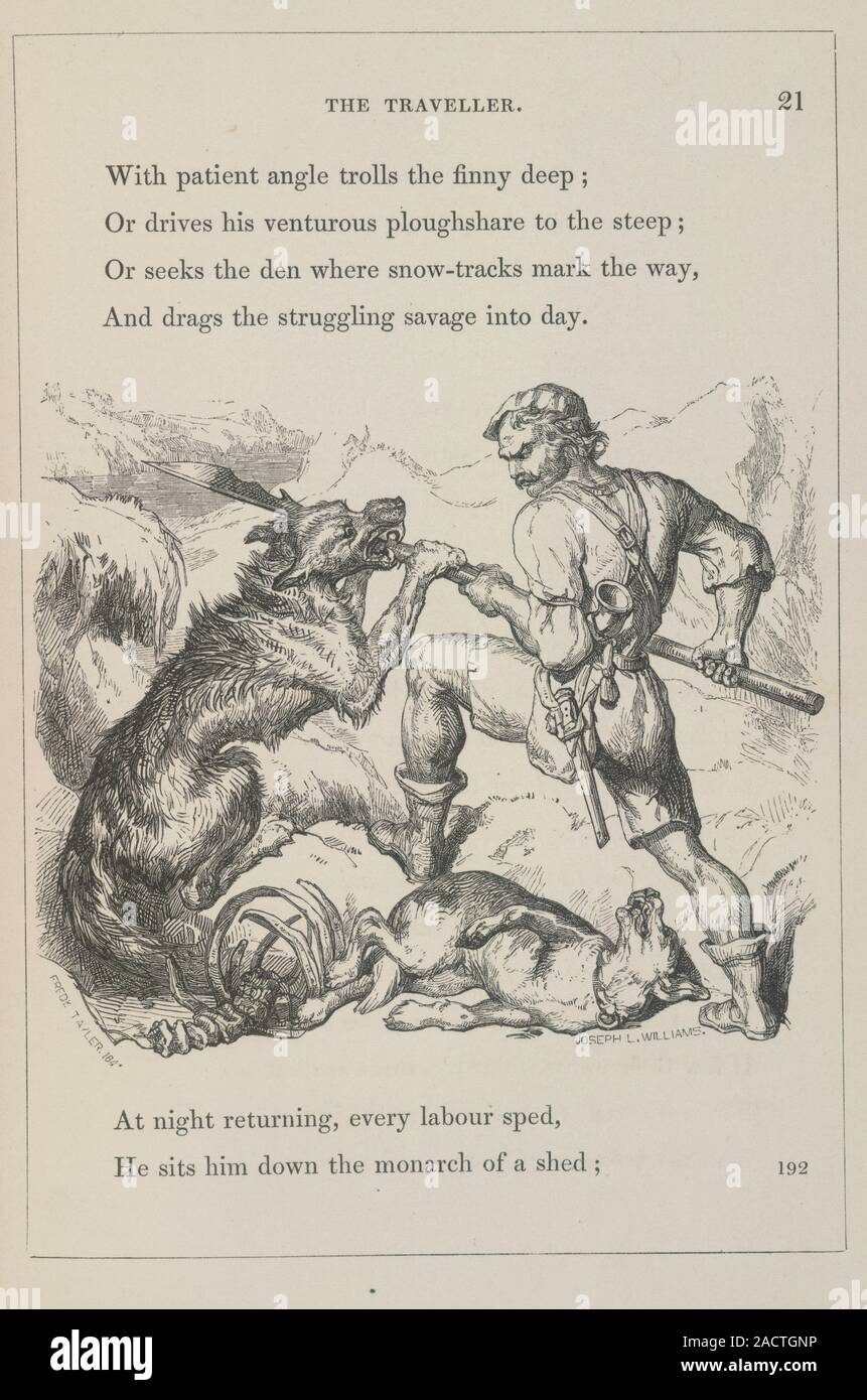 Wolf illustration of a poem by Oliver Goldsmith. Author Oliver ...