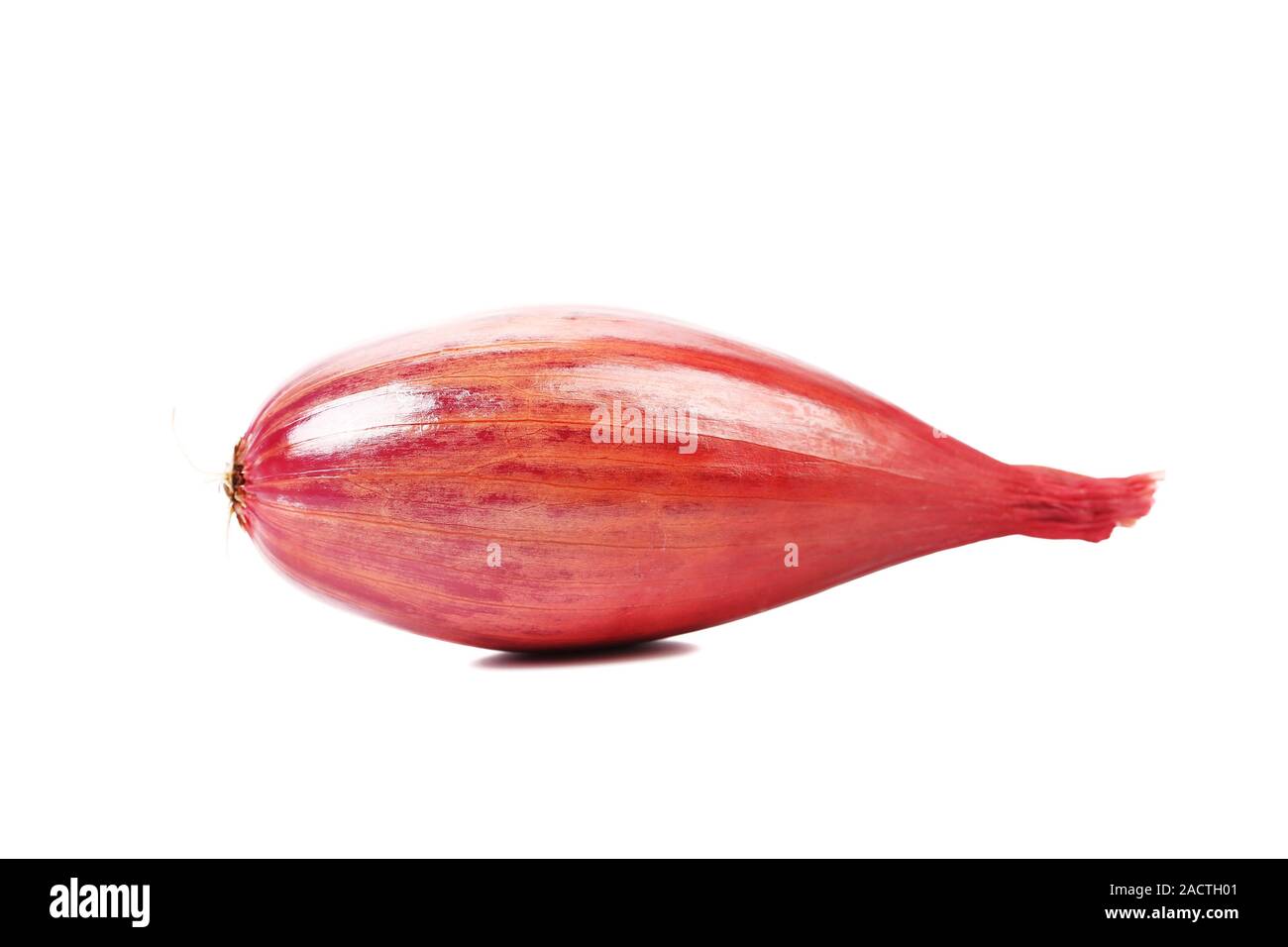 Goldish Cut Out Stock Images & Pictures - Alamy