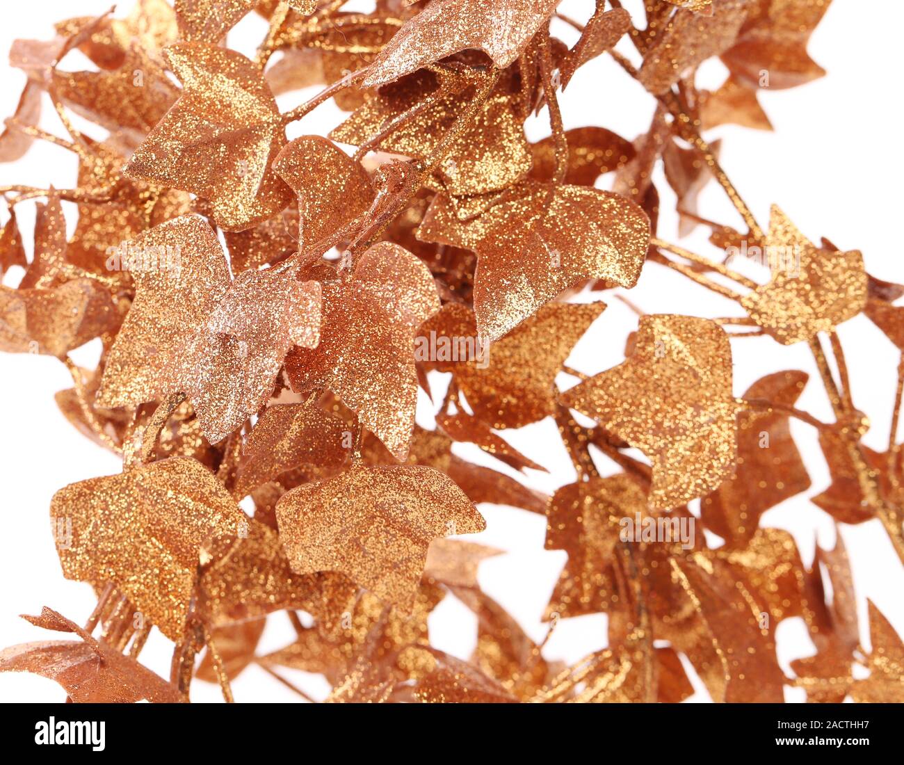 Gold ivy isolated hi-res stock photography and images - Alamy