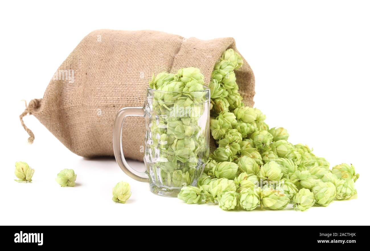 Sack and mug with hop Stock Photo - Alamy