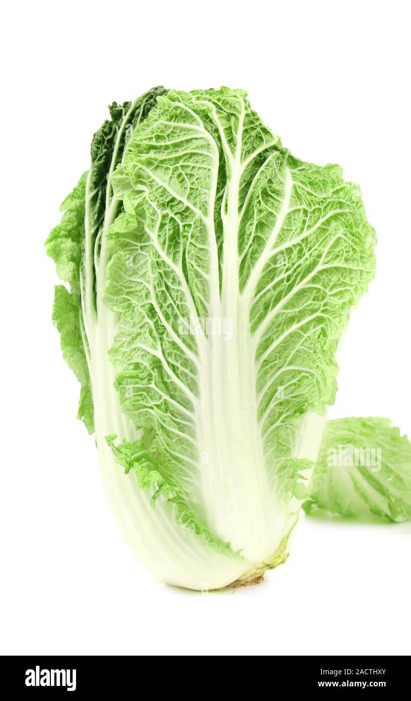 Cabbage chinese structure cabbage hi-res stock photography and images ...