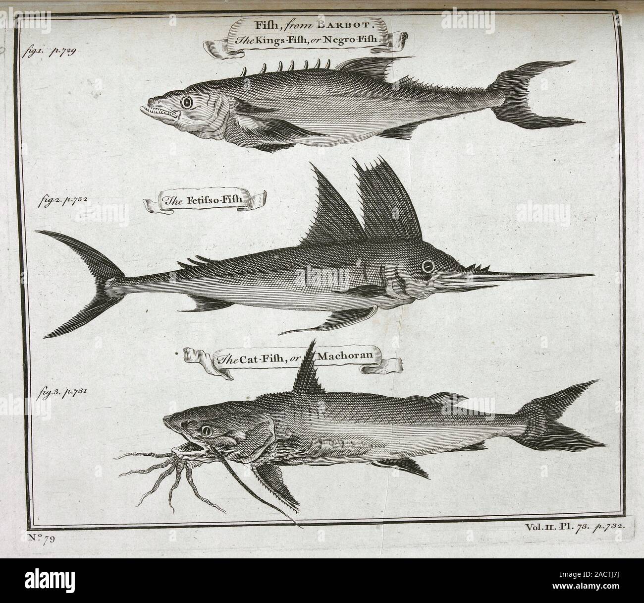 Drawings of three fishes Stock Photo - Alamy