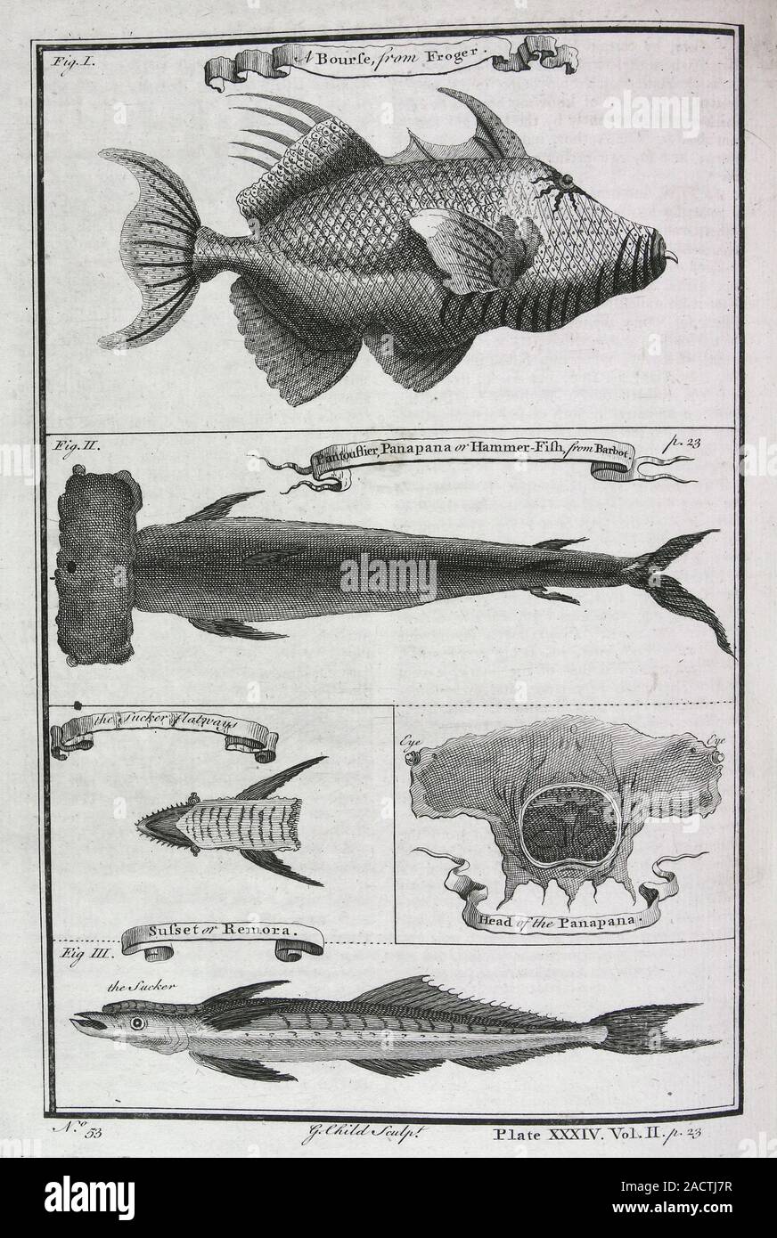 Drawings of five fishes Stock Photo - Alamy