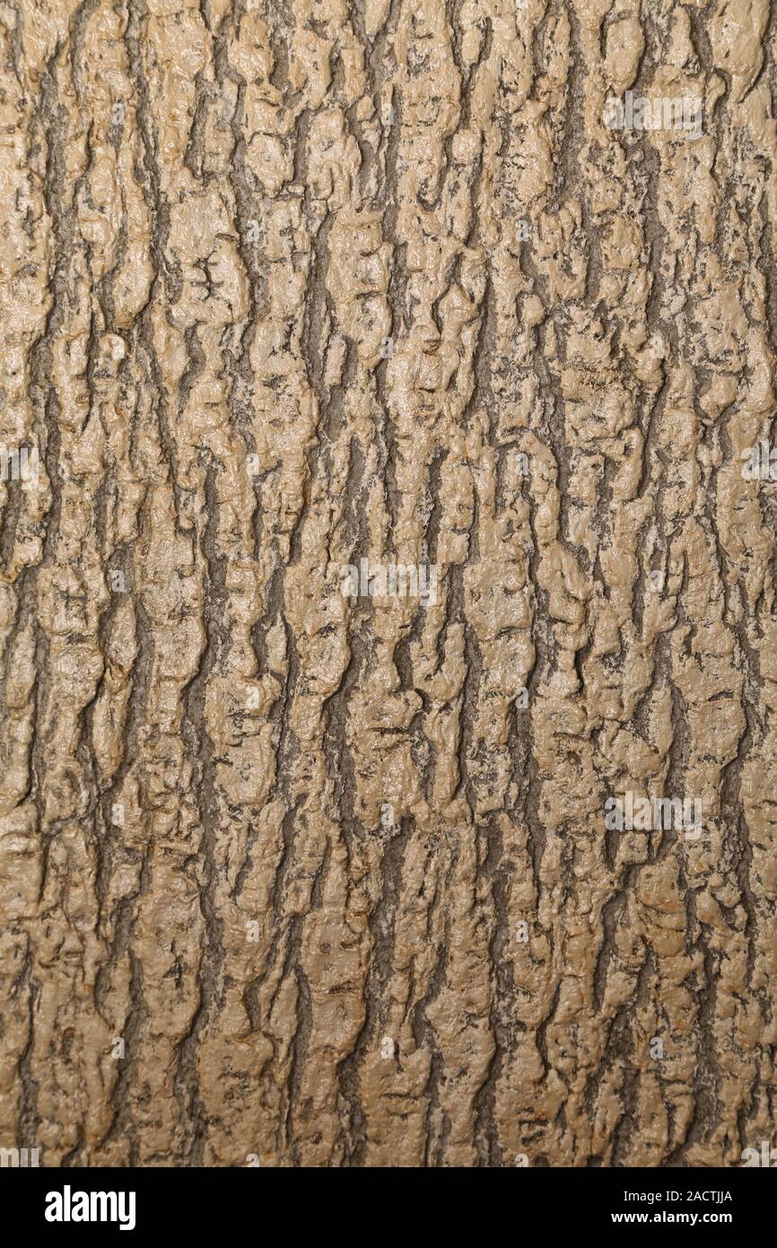 Texture of a brown tree Stock Photo - Alamy