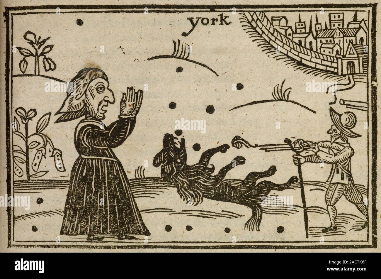 The killing of Prince Rupert's dog, named 'Boy', during the battle of ...