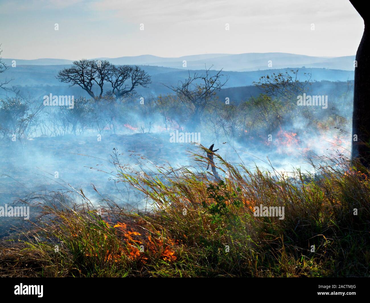Bush fire, Kenya Stock Photo - Alamy