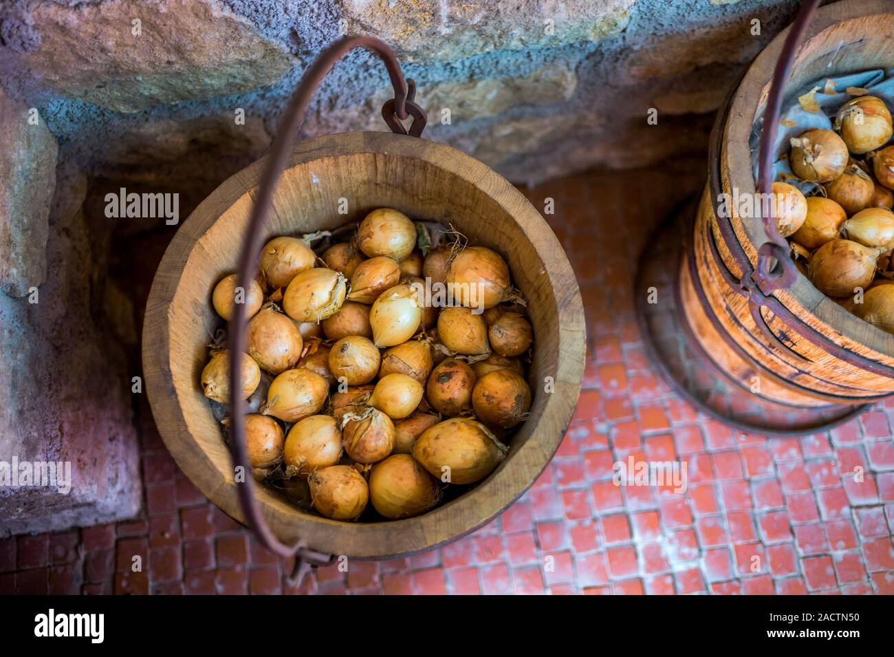 Onion in pots Stock Photo - Alamy