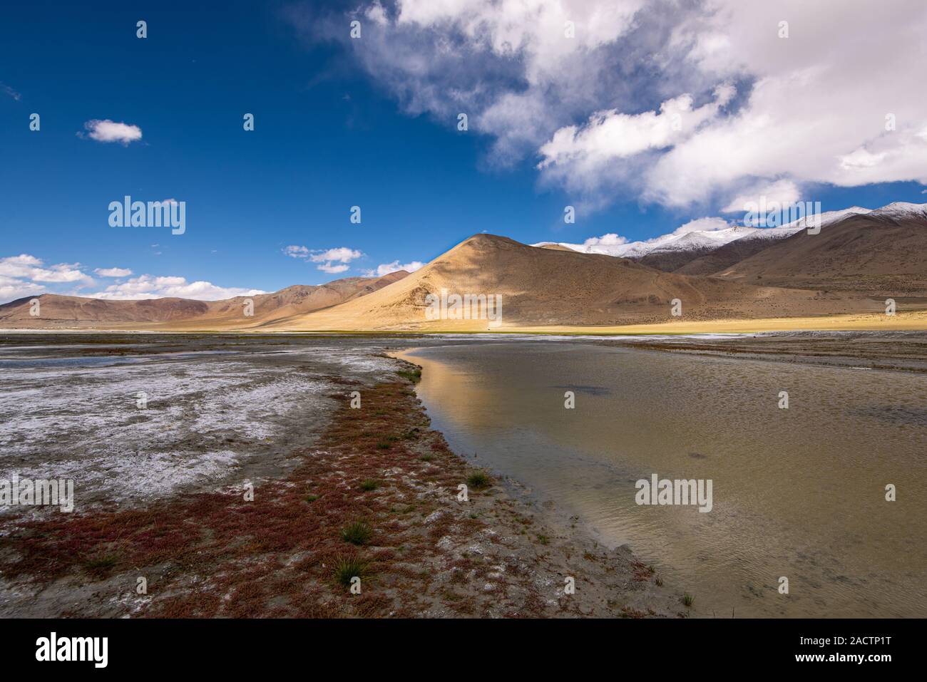 Tso Kar lake in Ladakh, India Stock Photo - Alamy