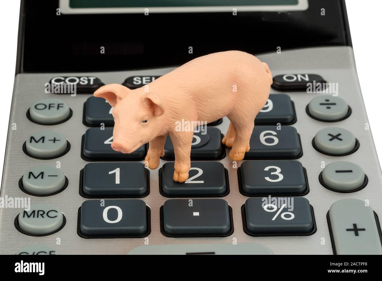 Pig and calculator Stock Photo - Alamy