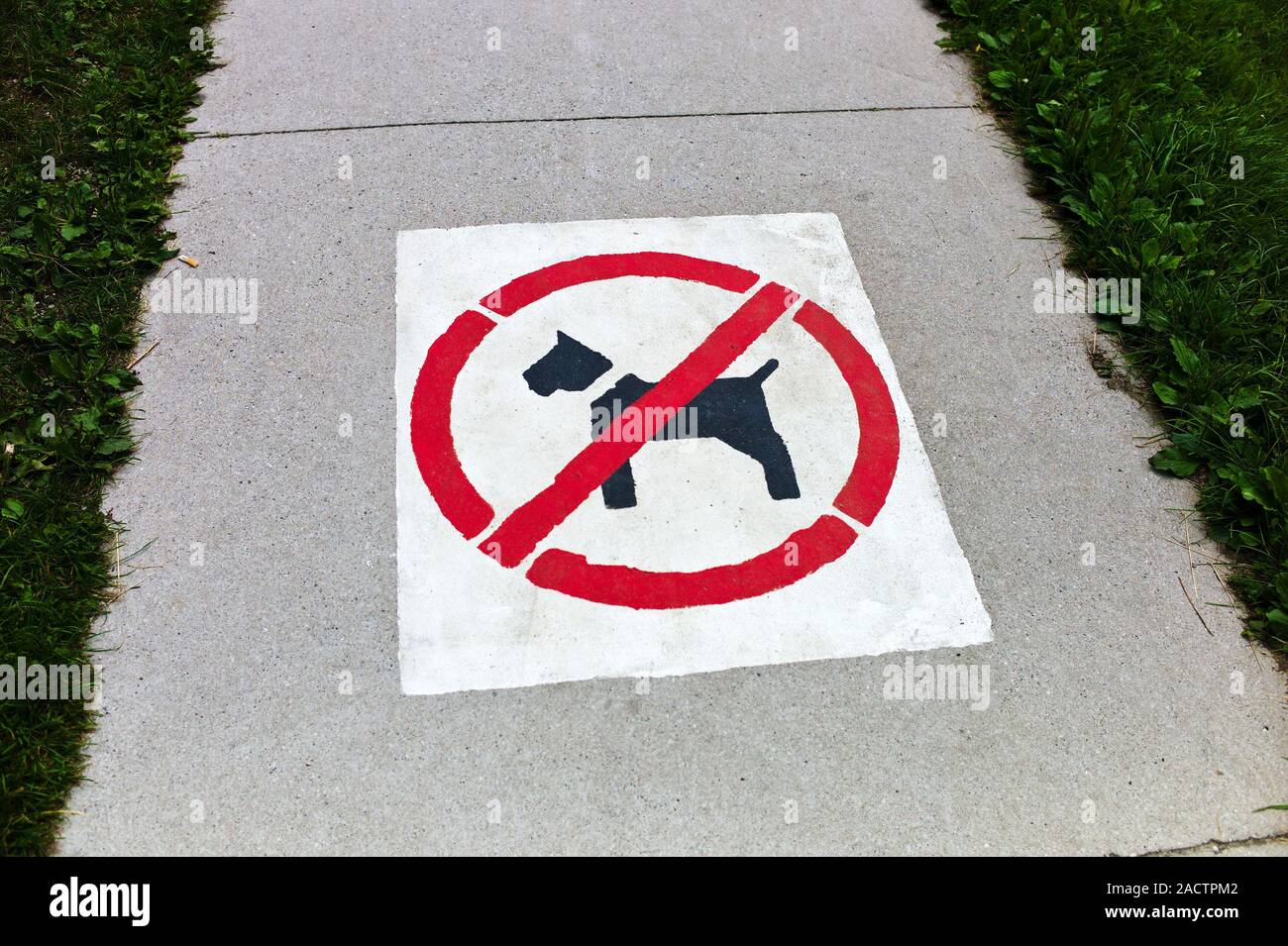 Walkway, Dogs Forbidden Stock Photo - Alamy
