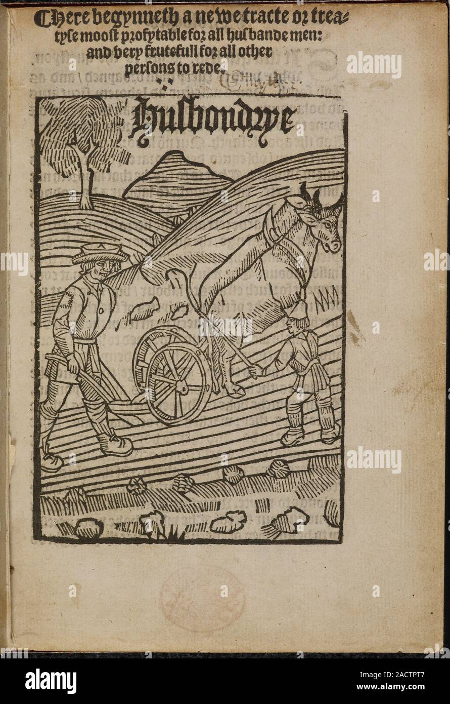 Two oxen pulling a plough. Author John Fitzherbert Stock Photo - Alamy