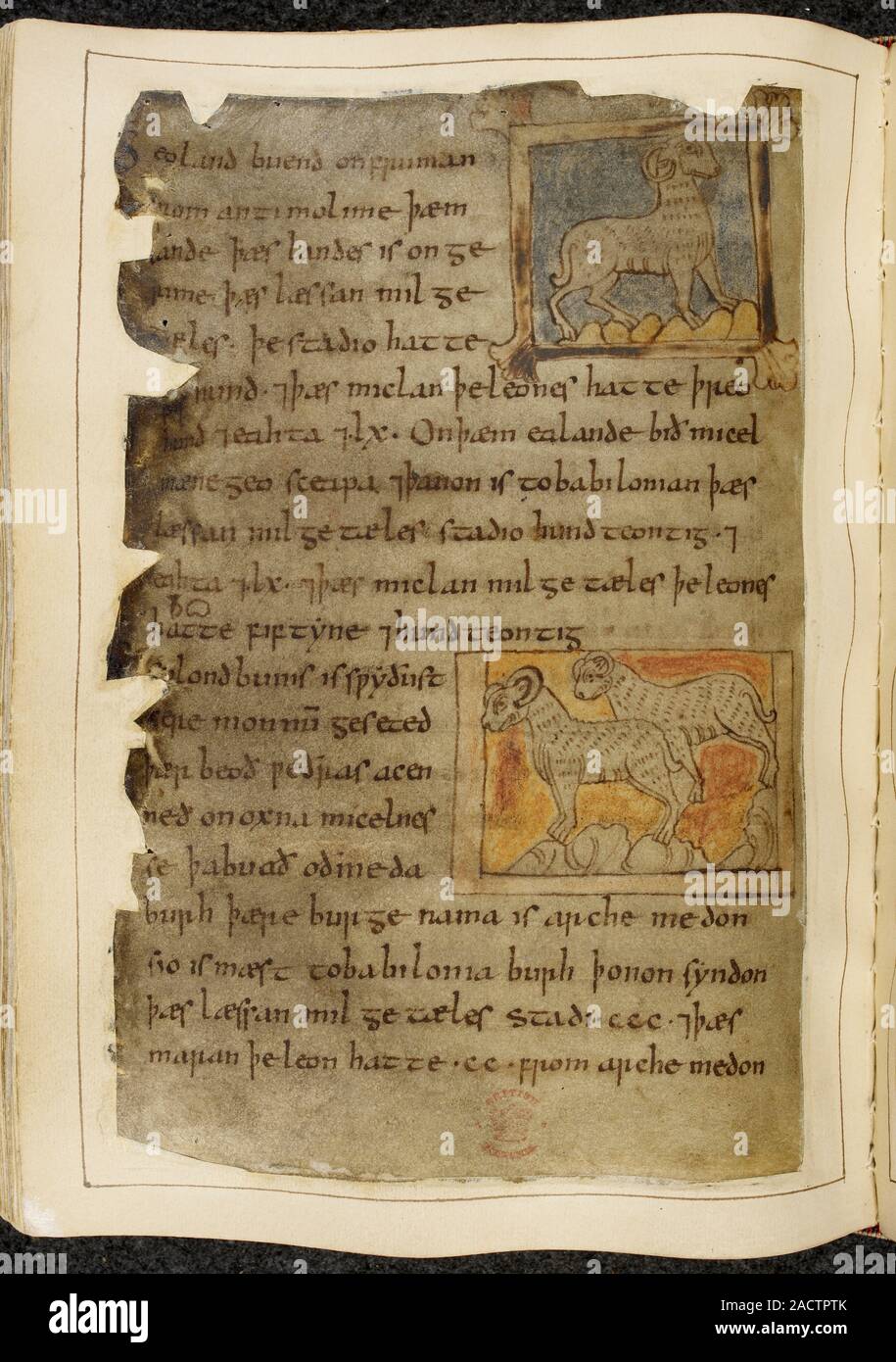 Illustrated page of the epic poem Beowulf. Charred edges of the Cotton ...