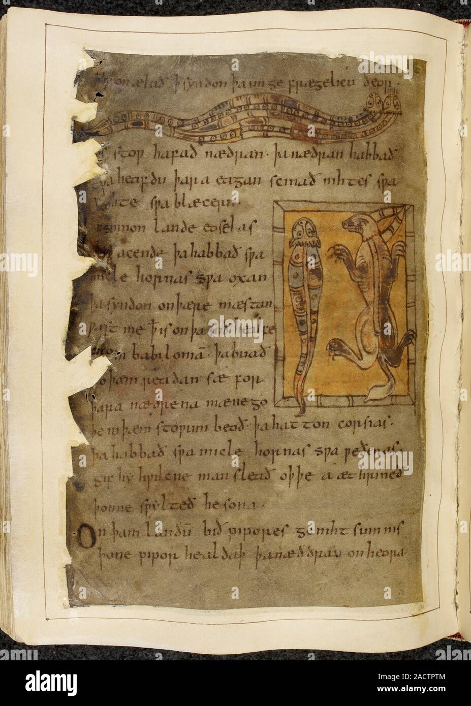 Illustrated page of the epic poem Beowulf. Charred edges of the Cotton ...