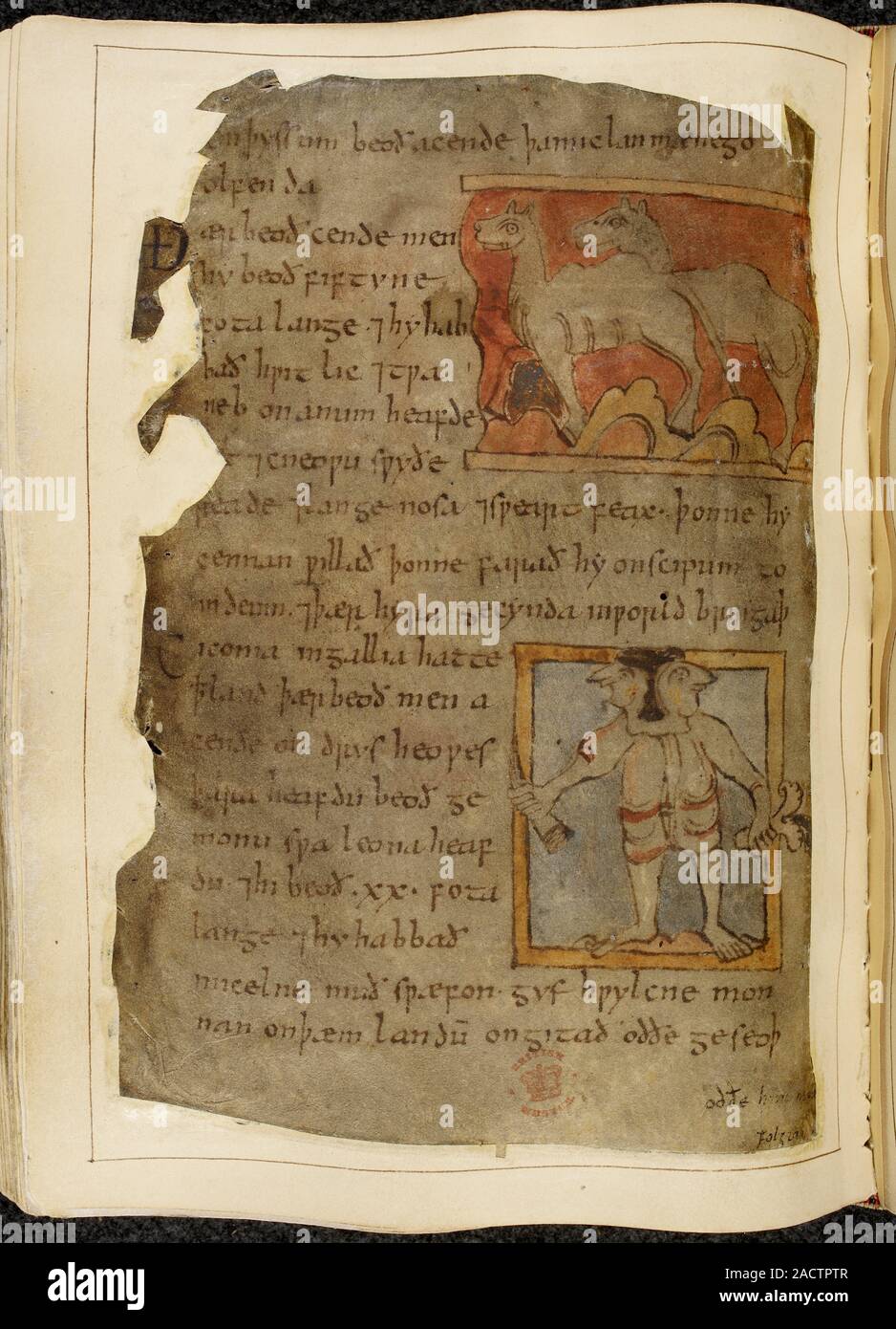 Illustrated page of the epic poem Beowulf. Charred edges of the Cotton ...
