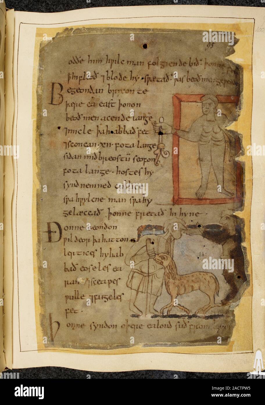 Illustrated page of the epic poem Beowulf. Charred edges of the Cotton ...