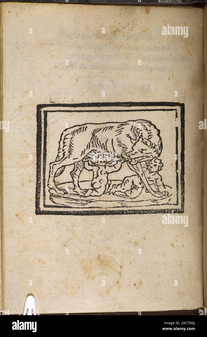 Illustration of Romulus and Remus being suckled by a wolf. Author Luca ...