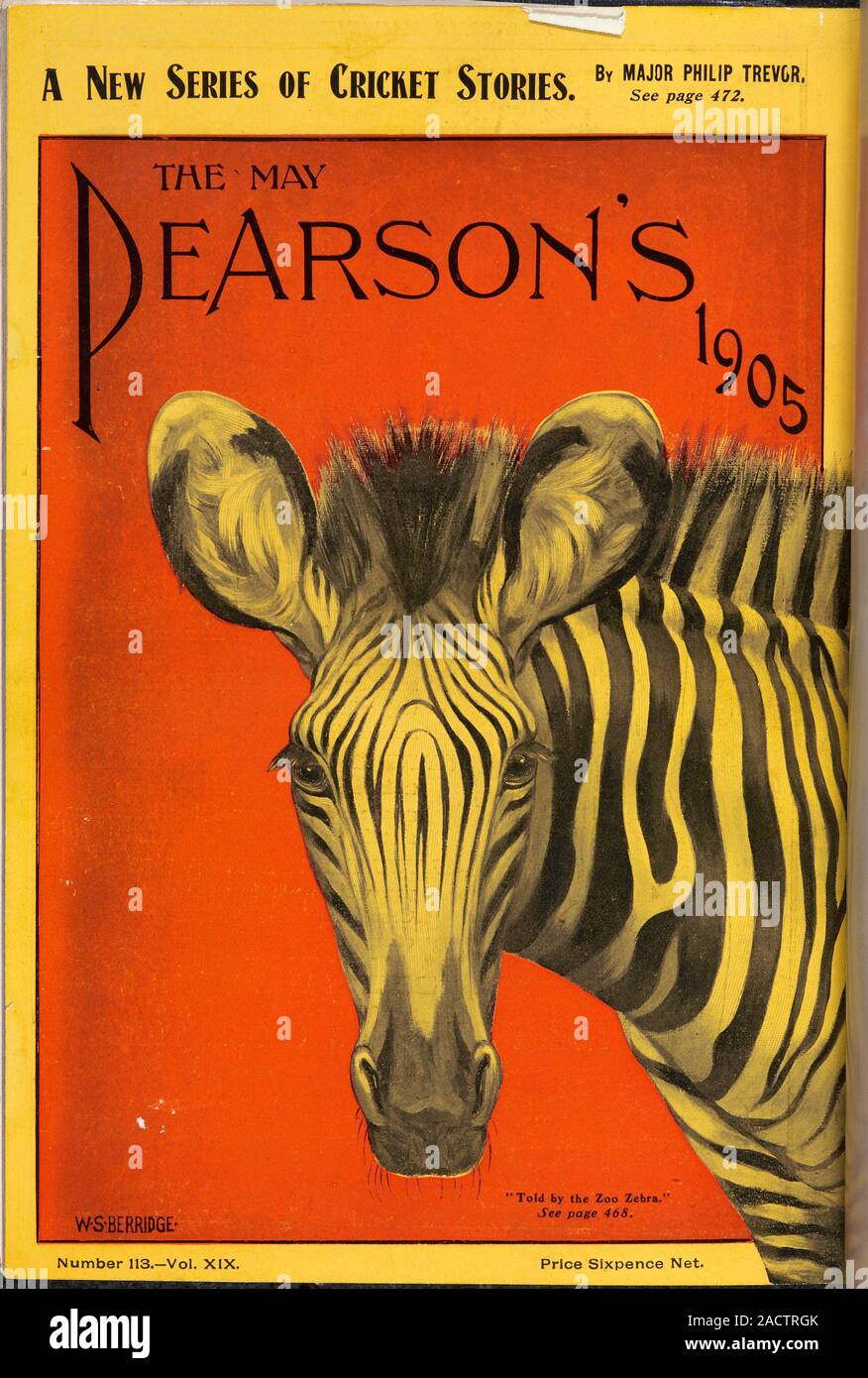 Magazine cover illustration of the face of a zebra Stock Photo - Alamy