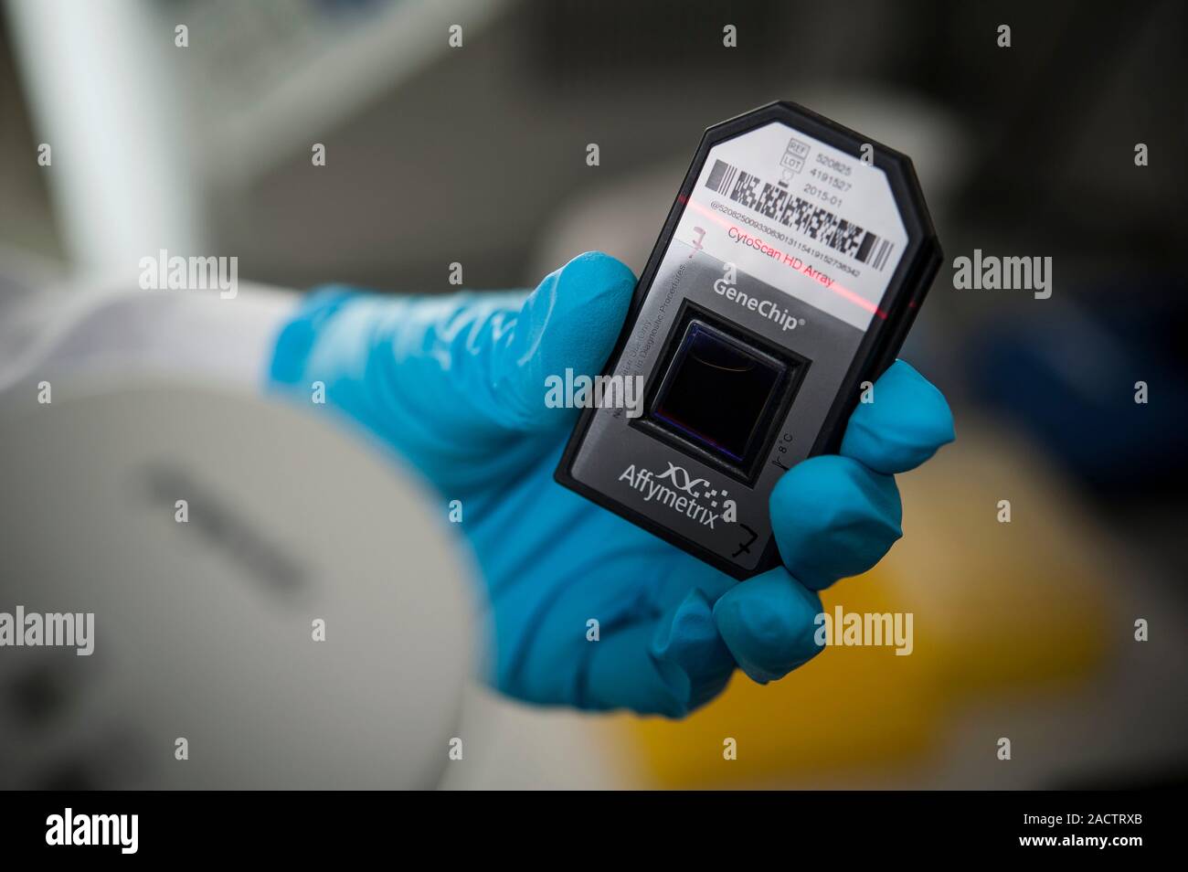 Scanning genetic microarray. Analyst using a scanner to read the ...
