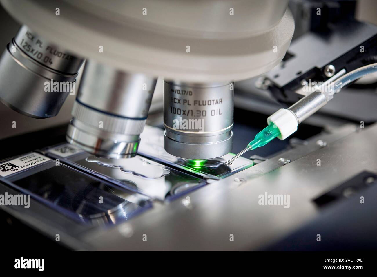 Genetic metaphase analysis. Close-up of a microscope being used in a ...
